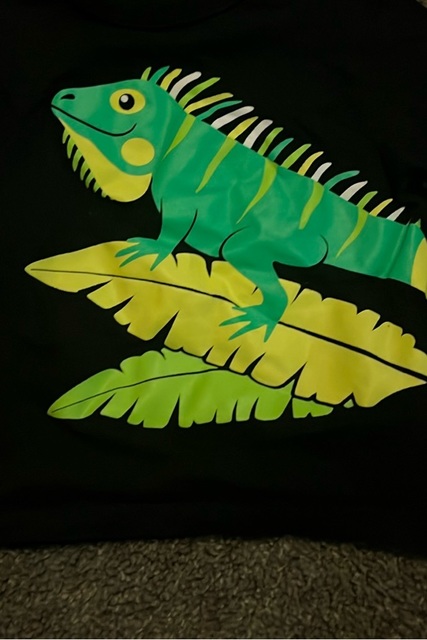 Posh Show - Poshmark